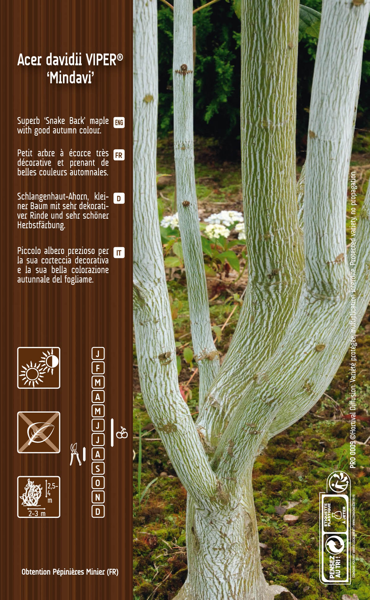 Disponible | Minier Solution Pro